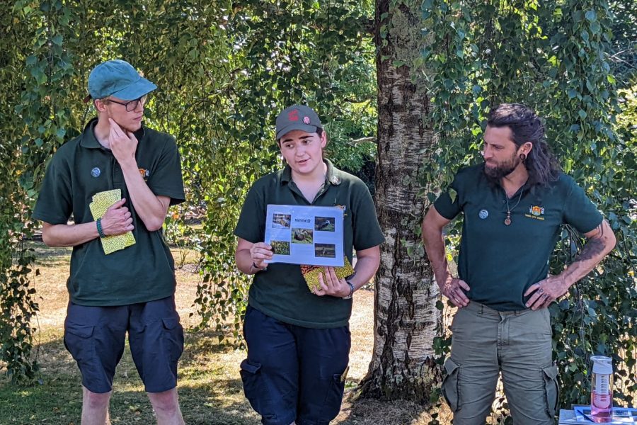 What's On in Truro - Local Events in Truro, Cornwall